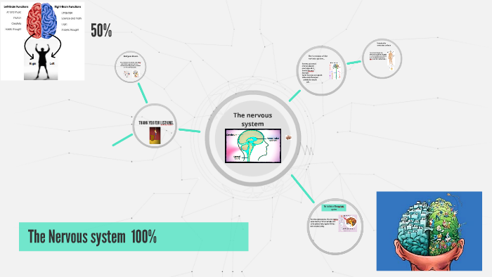 The nervous system by charlie succar