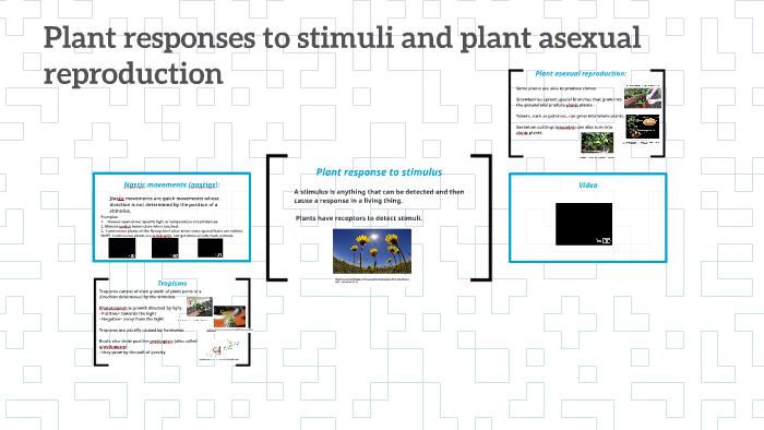 Plant responses to stimuli and plant asexual reproduction by Chelsea ...