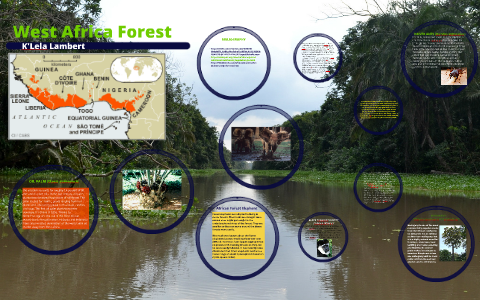 GUINEAN FORESTS OF WEST AFRICA by Kaye Lambert on Prezi