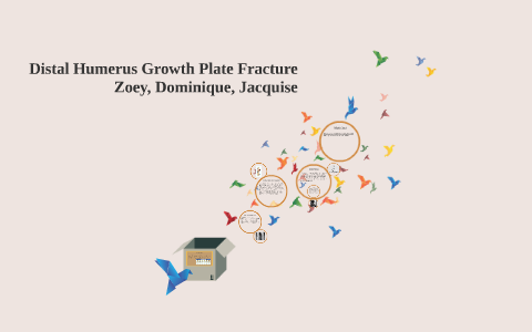 Distal Humerus Growth Plate Fracture by Zoey Waddell on Prezi