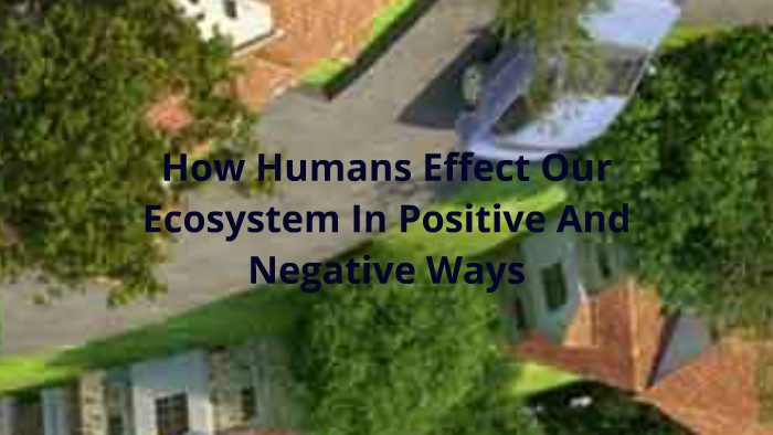 How Humans Effect Our Ecosystem In Positive And Negative Way by kendra ...