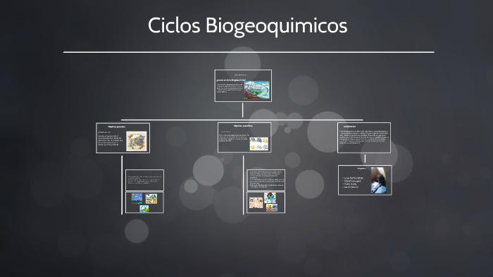 Ciclos Biogeoquimicos by Luisa Garay on Prezi