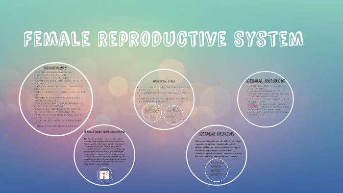 Female Reprductive system by Casey Rose on Prezi