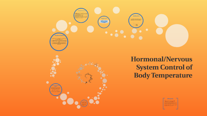 Hormonal/Nervous System Control of Body Temperature by Elisha Bullen on ...