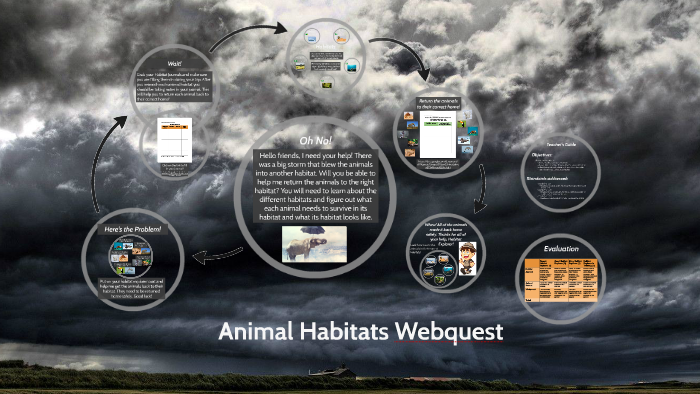 Animal Habitats WebQuest by Sabrina Stevens on Prezi