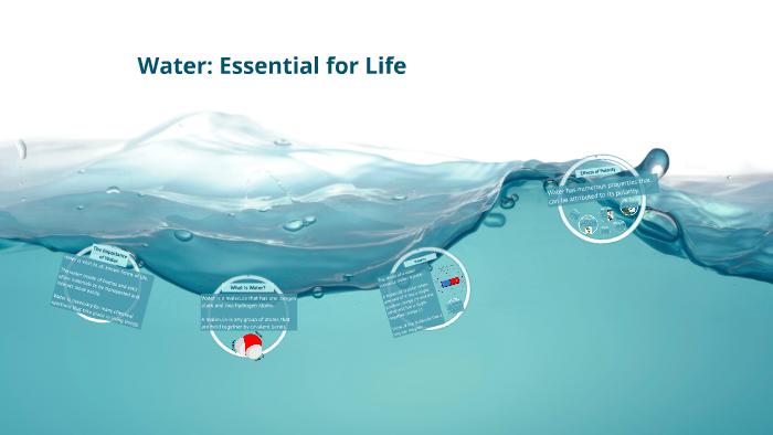 Water: Essential for Life by Joel Hickey on Prezi