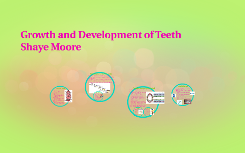 Growth and Development of Teeth by Shaye Moore on Prezi