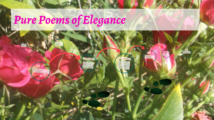 Pure Poems of Elegance by Nadine French on Prezi