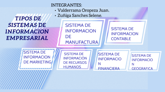 TIPOS DE SISTEMA DE INFORMACION EMPRESARIAL by juan carlos valderrama oropeza on Prezi