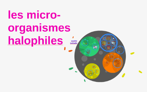 les micro-organismes halophiles by souhir bettaibi on Prezi