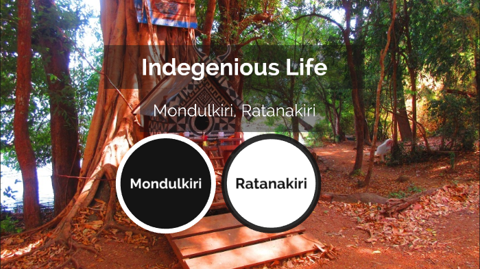 Human life by Ratanak Noch Mony on Prezi