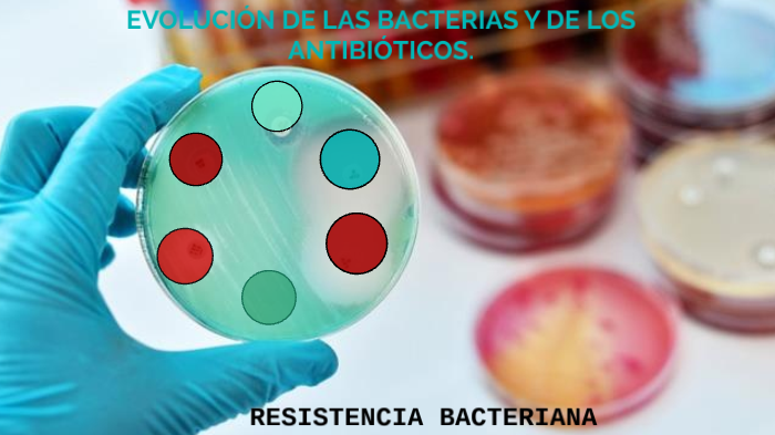 evolucion de las bacterias by Matias Martínez on Prezi