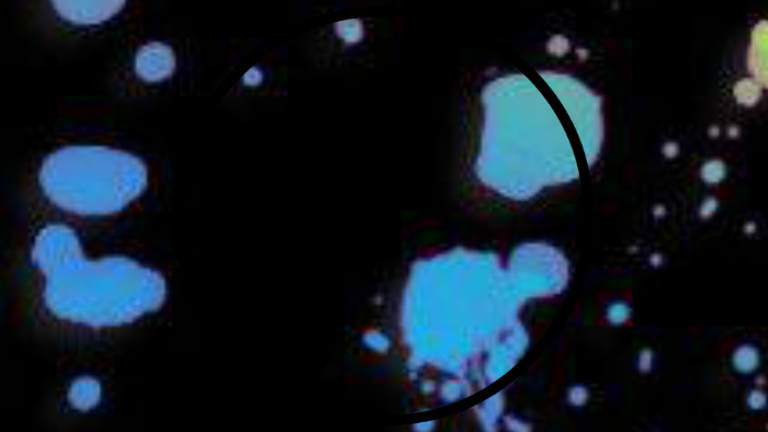 Crayola color cycle by chase b