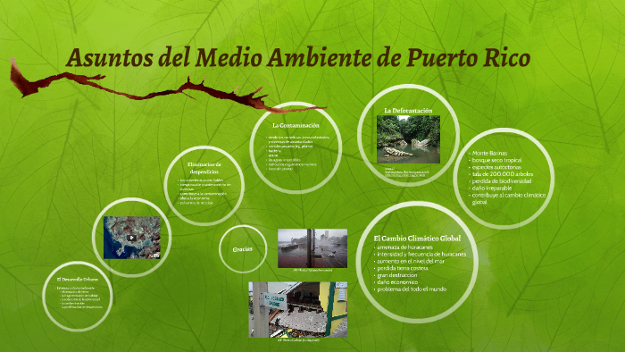 Asuntos del Medio Ambiente de Puerto Rico by Nicolette Matsangos on Prezi