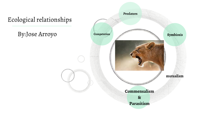 ecosystem by Jose Arroyo on Prezi
