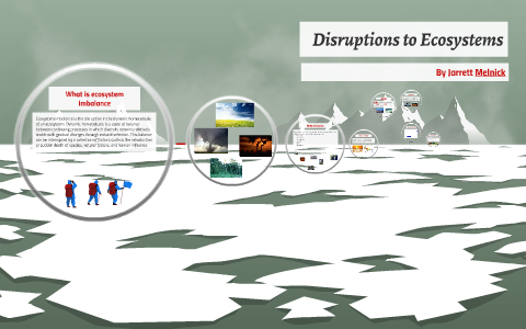 Disruptions to Ecosystems by Jarrett Melnick on Prezi
