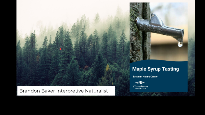 Maple Syrup Tasting 2021 by Amanda Huber on Prezi