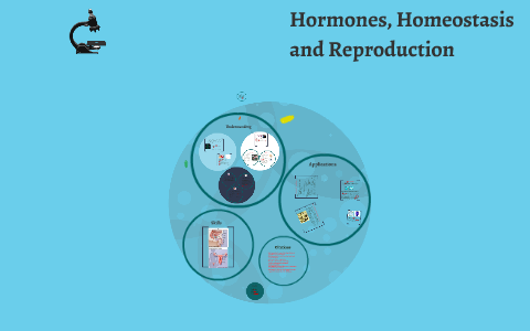 Hormones, homeostasis and reproduction by Doyoon Lee on Prezi
