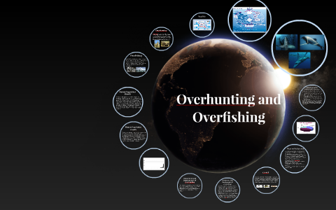 Overhunting and Overfishing by Karen Kawa on Prezi