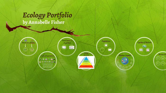 Ecology Portfolio by Annabelle Fisher by Annabelle Fisher on Prezi