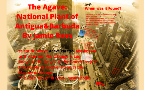 dagger's log by Jamie Ross on Prezi