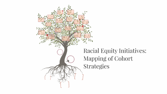 Racial Equity Initiatives: Mapping of Cohort Strategies by Truc Anh ...
