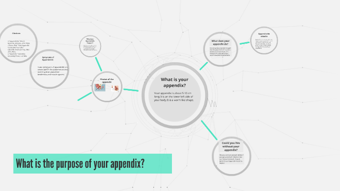 What is the purpose of your appendix? by Nick Pawelczyk on Prezi