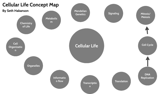 Cell Biology Concept Map by Seth Hakanson on Prezi