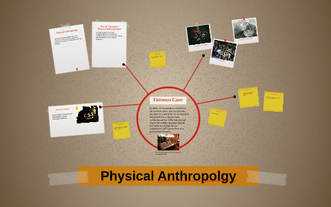 Physical Anthropolgy by Michael Scoville on Prezi
