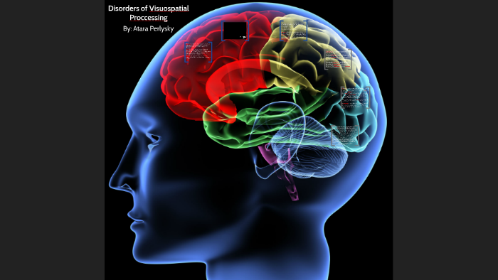 Visuospatial Processing by atara perlysky on Prezi
