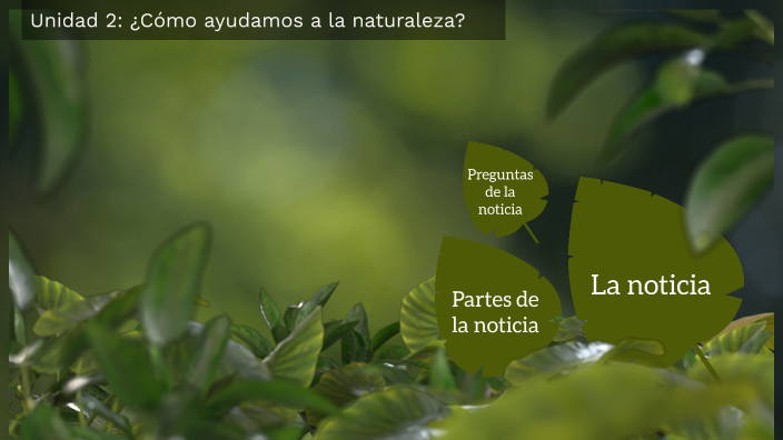 Unidad 2 ¿Cómo ayudamos a la naturaleza? - La noticia by Macarena ...