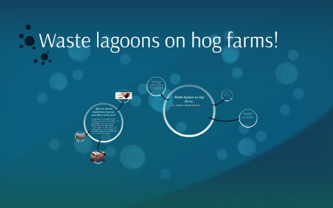 Waste lagoons on hog farms. by Harley Quinn on Prezi
