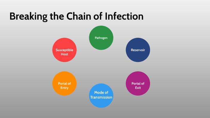 Breaking the Chain of Infection by Alicia McCracken on Prezi