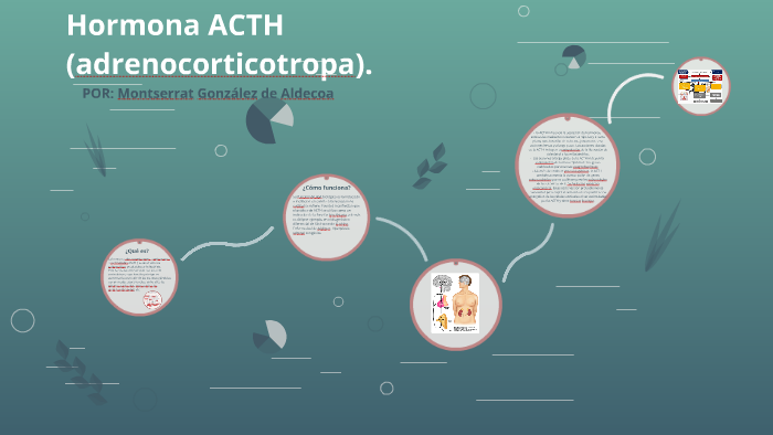 Hormona ACTH (adrenocorticotropa). by Montserrat Gonzalez De Aldecoa on ...