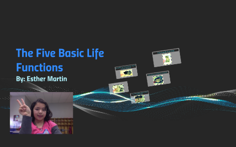 The Five Bacsic Life Functions by REBECCA BAGGETT on Prezi