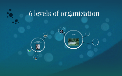 6 levels of organization by madison barnette on Prezi