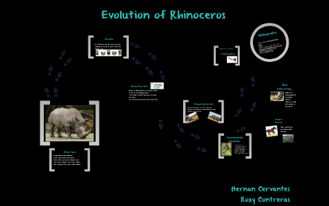 Evolution of Rhinoceros by hernan cervantes on Prezi