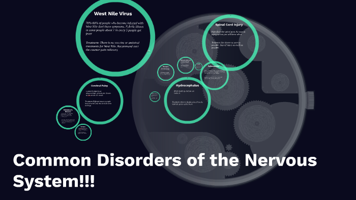 Common Disorders of the Nervous System!!! by Shea Little on Prezi