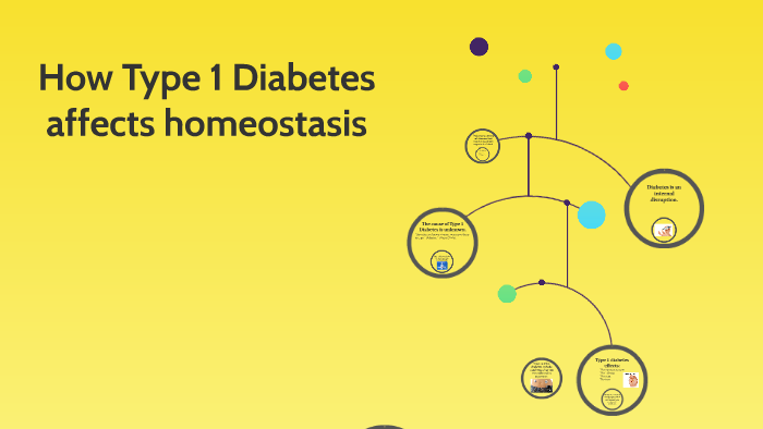 How Diabetes affects homeostasis by Jocelyn Ott on Prezi