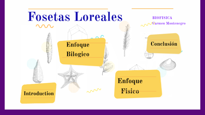 FOSETA LOREAL by Carmen Montenegro on Prezi