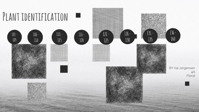 Floriculture Plant Identification by Val Jorgensen on Prezi