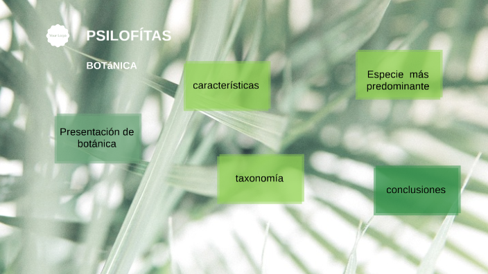 PSILOFÍTAS by MORE BUNCHE on Prezi