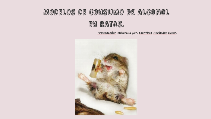 Modelos de consumo de alcohol en ratas. by Evelin Martínez Hernández on ...