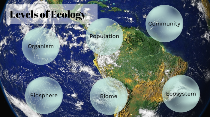 Levels of Ecology by Jeremy Miller on Prezi