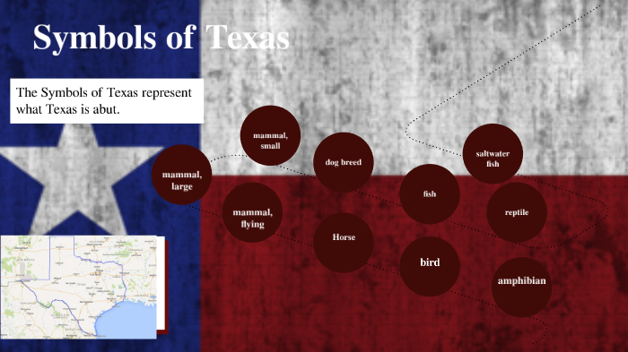 Symbols of Texas by Seth Goodman on Prezi