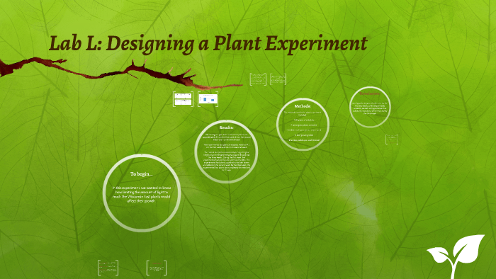 Lab L: Designing a Plant Experiment by Sydney Nichols on Prezi