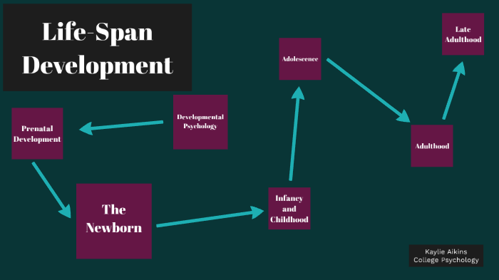 Chapter 9 Life-Span Development Graphic Organizer by Kaylie Aikins on Prezi
