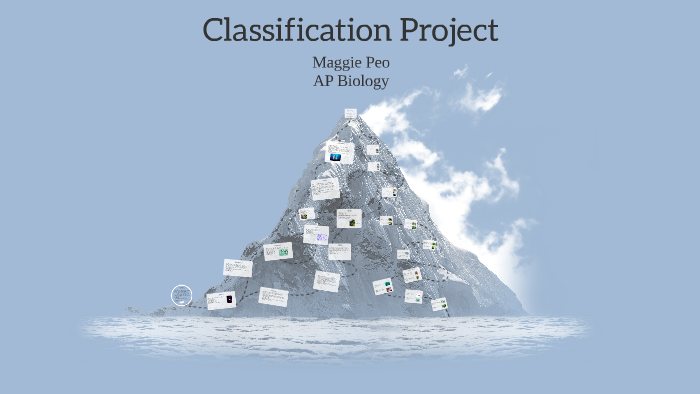 AP Biology Classification Project by Maggie Peo on Prezi