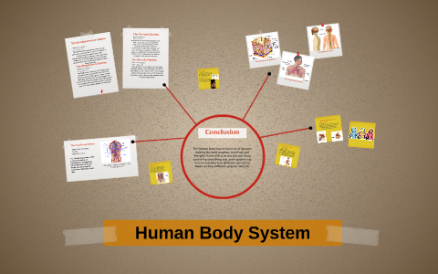 The Human Body Systems by Meztli Rodriguez on Prezi