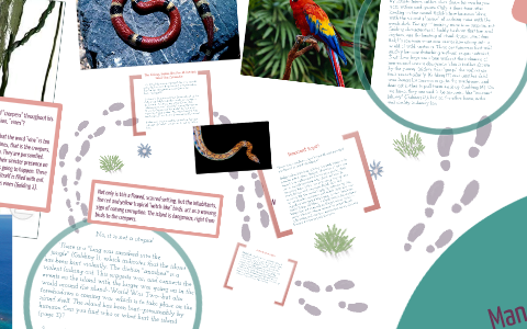 Lord of the Flies: Is this a utopian story like Coral Island? by Ms ...